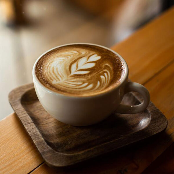 Cremmaet Compact Steam - Cecotec Argentina